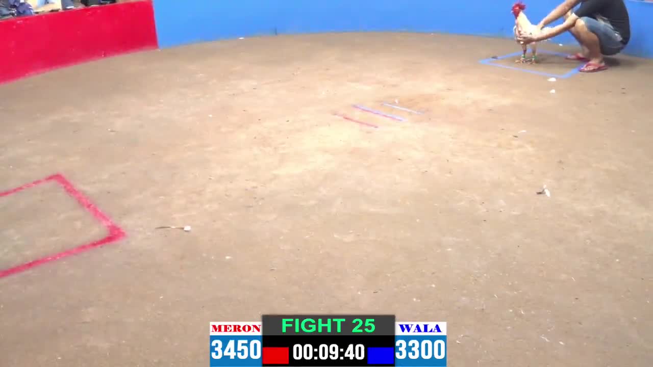 IDOL TIK TOK - LONG THOMO ĐÁ ĂN 1 LẬT KÈO