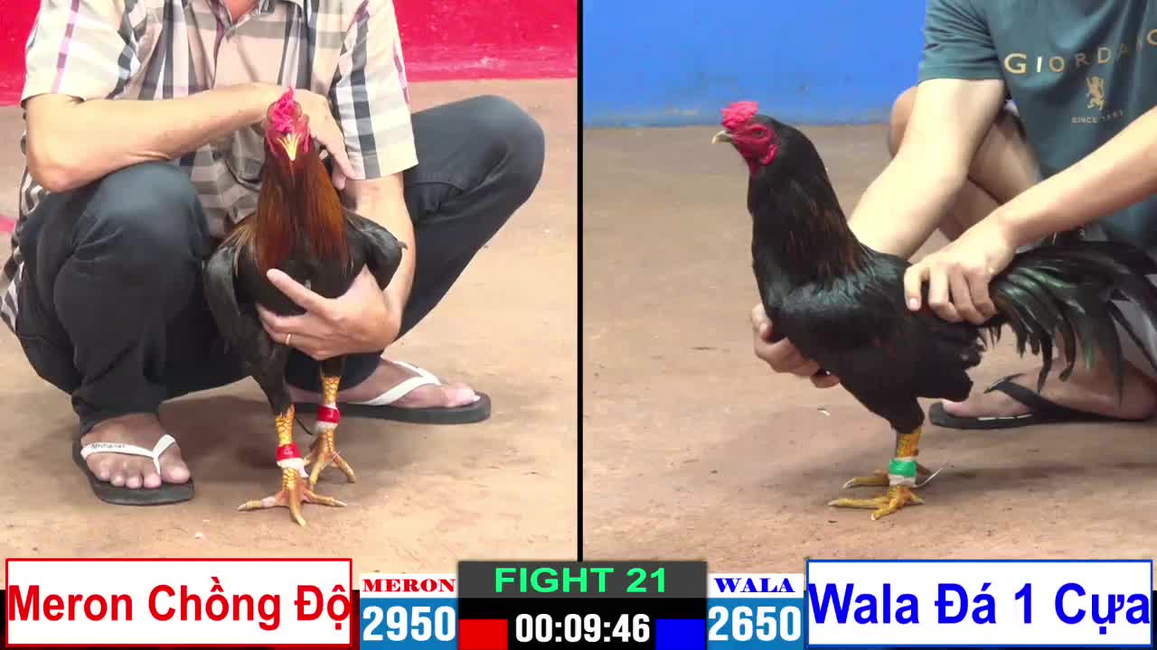 cpc2_202407261200_21