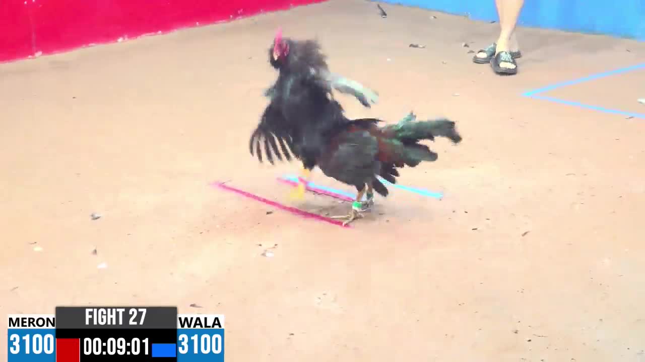 TRẬN 27 CPC3 25/05/2025 : ANH TÍNH GAKING vs ANH GẤU BẾN TRE (ĐÚNG MẼ ...